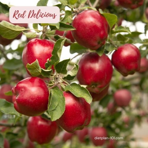 What Is The Sweetest Apple? The Top 10 Sweetest Apple Varieties